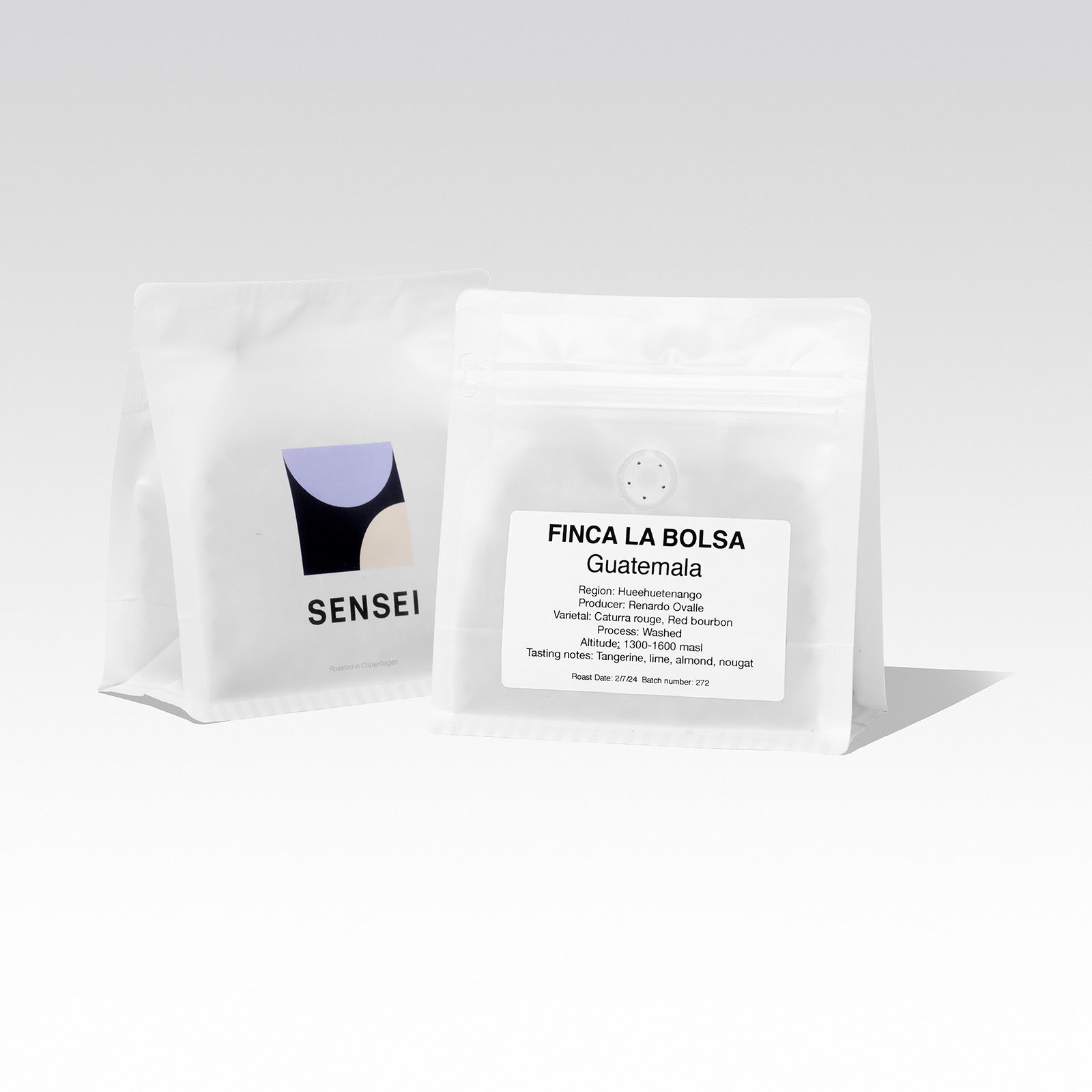 Sensei Coffee Subscription (Monthly)